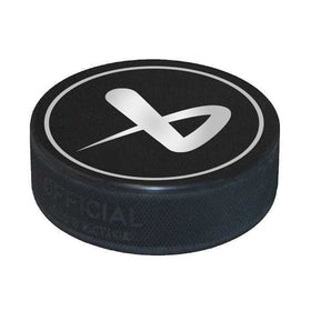 Ice Hockey Pucks & Ice Hockey Balls | 30+ To Choose From