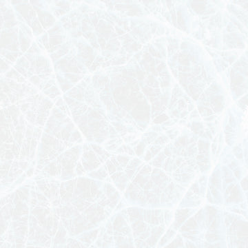 How To Choose The Right Ice Hockey Skates & Find The Ultimate Fit ...